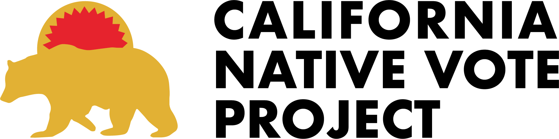 California Native Vote Project – Bold Vision LA